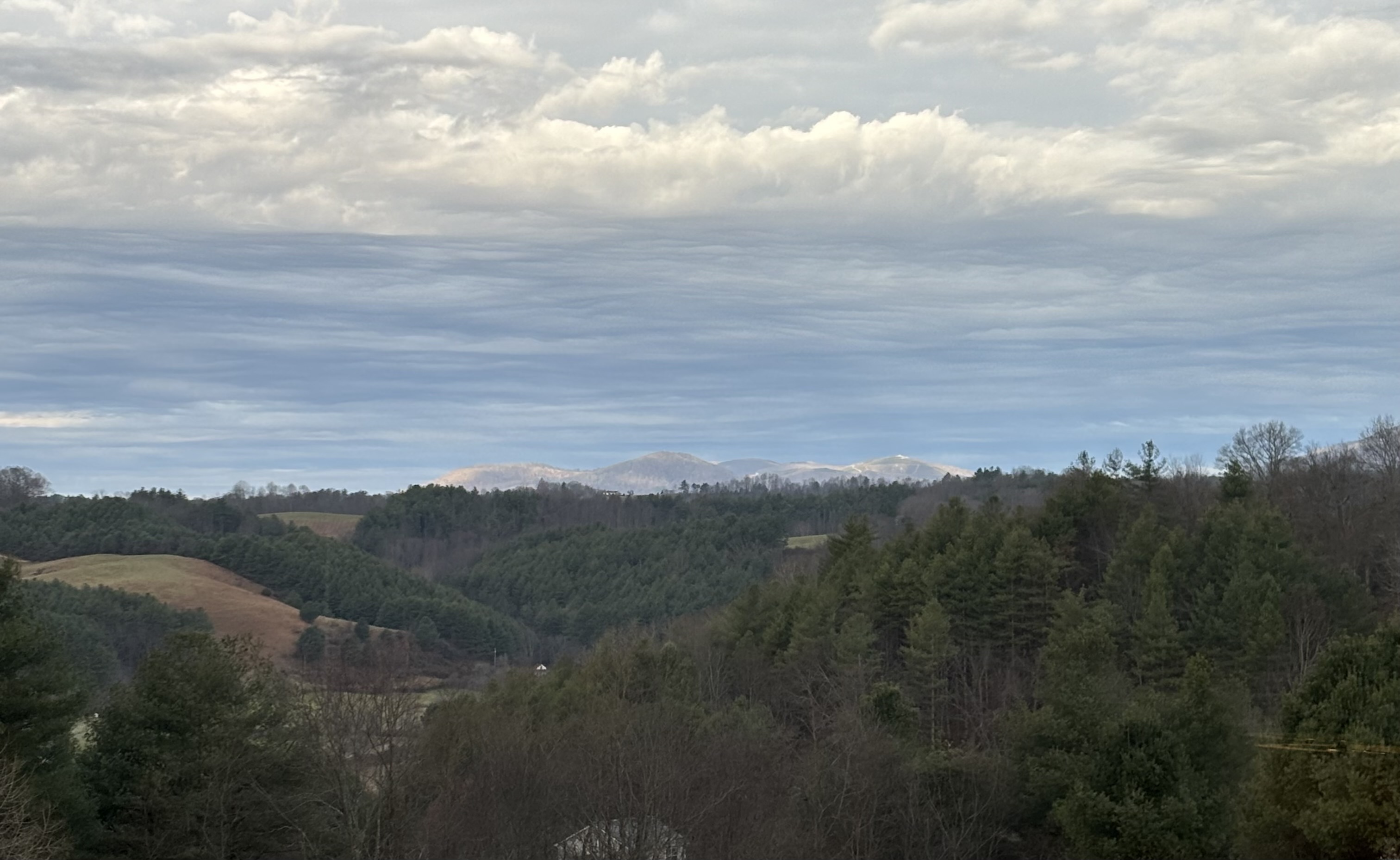 2025 Recap: Achievements and Future Goals – appalachian grasshopper